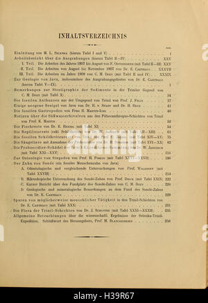 'Die Pithecanthropus-Schichten auf Java' (The Pithecanthropus Layers on ...