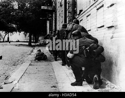 German infantrymen during the Battle of Smolensk, 1941 Stock Photo - Alamy
