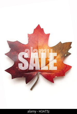 Autumn red leaves and white price card with word SALE composed of ...
