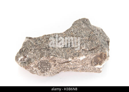 Limestone, a sedimentary rock from paleogene Stock Photo - Alamy
