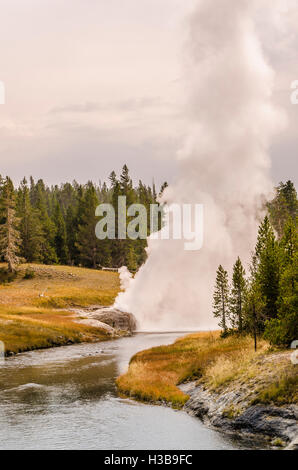 Riverside Geyser Riverside Geyser Stock Photo - Alamy