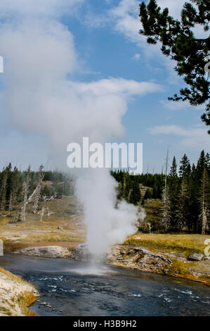 Riverside Geyser Yellowstone National Park Stock Photo - Alamy