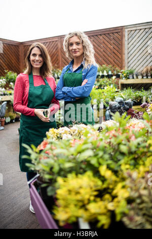 Smiling florist looking at the plant on the porch Stock Photo - Alamy