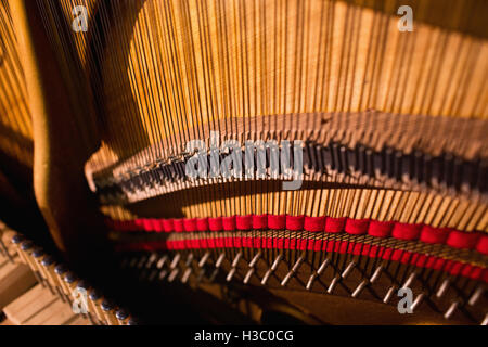 Open piano strings Stock Photo - Alamy