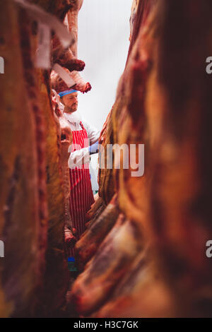 Butcher examining the red meat hanging in storage room Stock Photo - Alamy