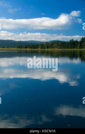 Salmon River estuary, Knight Park, Oregon Stock Photo - Alamy