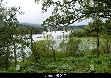Loch Kinord and Muir of Dinnet National Nature Reserve near Ballater ...