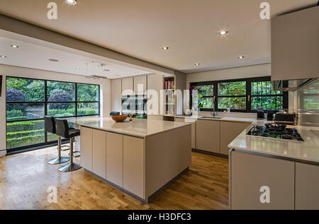 Interior of a kitchen, modern minimal style with wooden furniture and ...