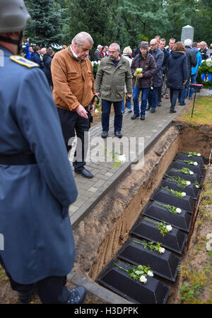 Small coffins with the remains of fallen German soldiers of WWII are ...