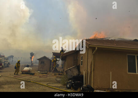 Phelan, CA, USA. 17th Aug, 2016. The Blue Cut Fire burns for the second ...