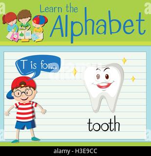 Flashcard letter T is for tooth illustration Stock Vector Image & Art ...