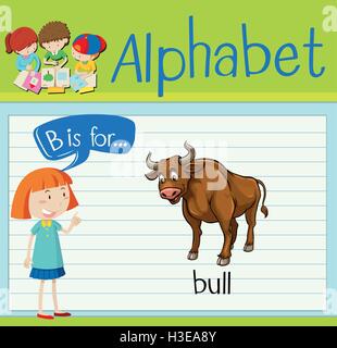 Flashcard letter B is for bull Stock Vector Image & Art - Alamy