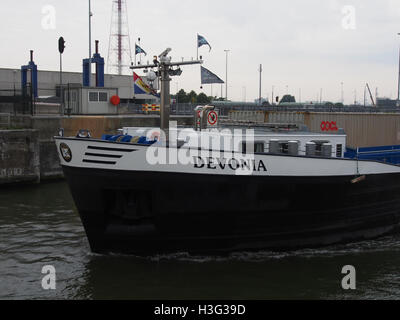 The vessel Devonia, identified by the ship number ENI 02332651, is ...