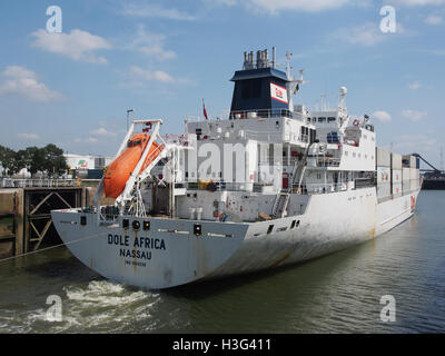 The Dole Africa, a 1995-built container vessel with IMO 9046538, docked ...