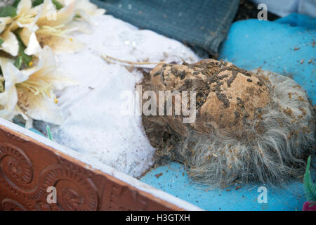 The dead body to bring up dead by the relatives to clean off their ...