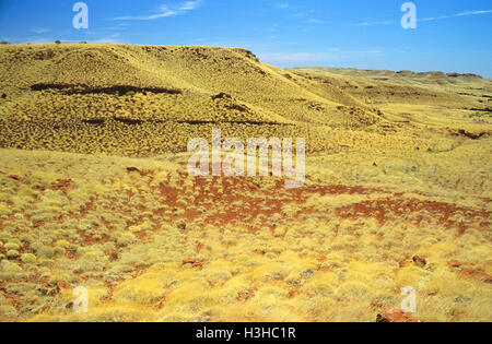 Spinifex hills at Chichester Range in Millstream Chichester National ...