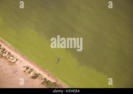 Lake Victoria" Algae Bloom Stock Photo - Alamy