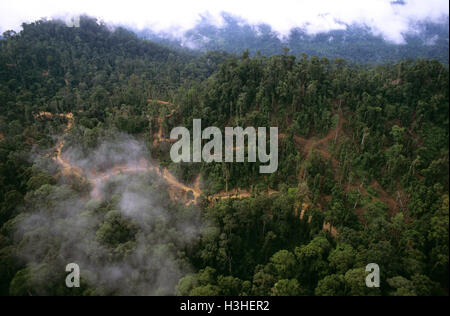 Aerial view of primary lowland tropical rainforest, Osa Peninsula ...