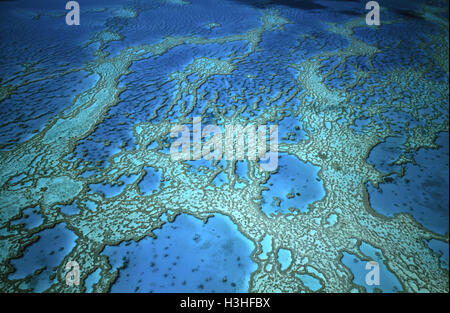 Aerial photograph of Hardy Reef Stock Photo - Alamy