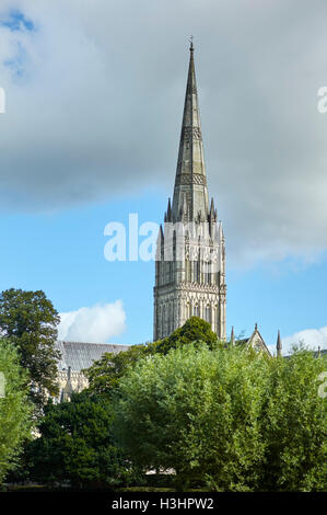 View of tower and spire of Salisbury Cathedral Wiltshire England UK ...