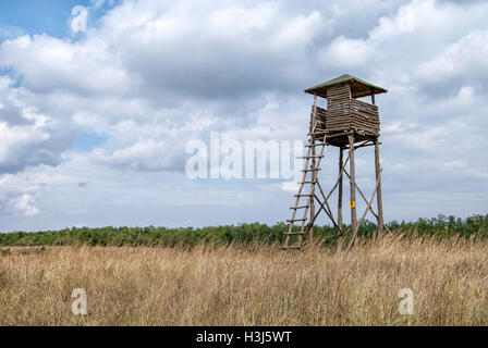 Watchtower for wildlife watching in nature reserve, rewilding ...