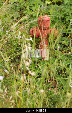 Red Fire Hydrant in Weeds, Close Up Stock Photo - Alamy