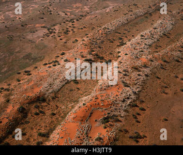 Longitudinal sand dunes Stock Photo - Alamy
