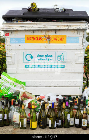 Garbage waste as glass wine and spirits bottles dumped in forest ...