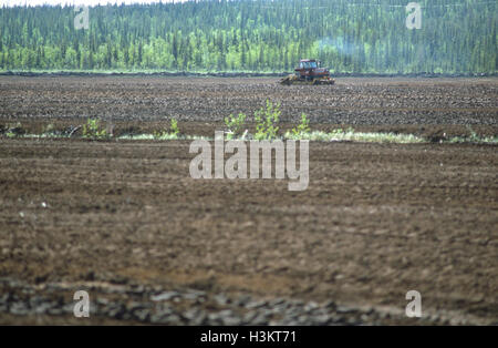 PEAT BOG where the tractor turns up peat for energy and heat Stock ...