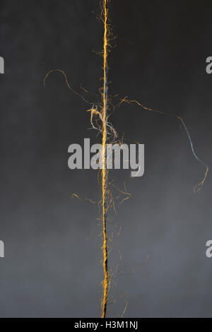 Piece of frayed natural fiber string against a dark background - visual ...