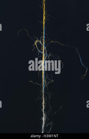 Piece of frayed natural fiber string against a dark background - visual ...