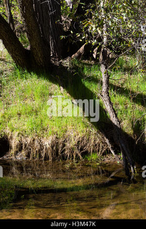 Superstition Mountains along the Apache Trail, Tonto National Forest ...