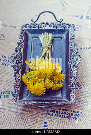 Dandelion on a tray with newspaper background Stock Photo - Alamy