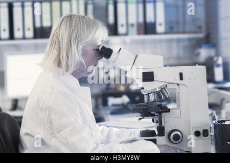 Senior scientist using a microscope in his laboratory Stock Photo - Alamy