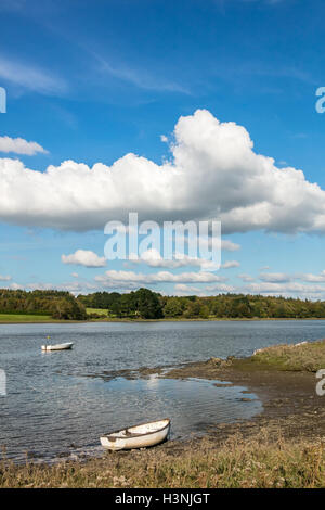 River Cleddau, Hook, Haverfordwest, Pembrokeshire, Wales, UK. 11th ...