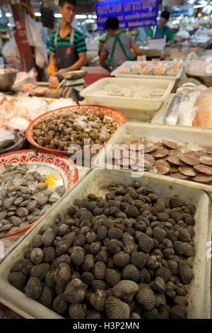 Seashells for sale at a market in Bangkok in Thailand Stock Photo - Alamy