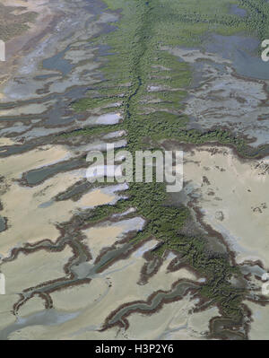 Limmen Bight River Stock Photo - Alamy