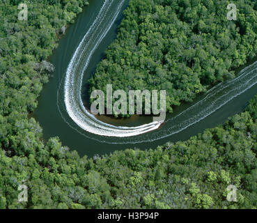 Aerial View Of Dense Mangrove Forest And Flowing River Stock Photo - Alamy
