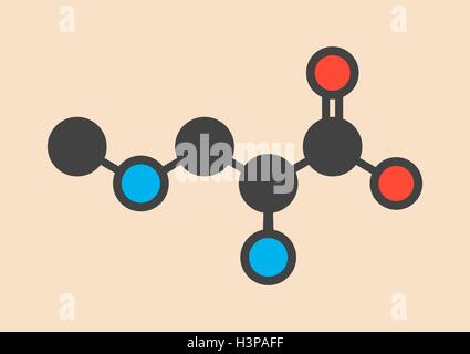 beta-Methylamino-L-alanine (BMAA) toxic amino acid molecule. Produced ...