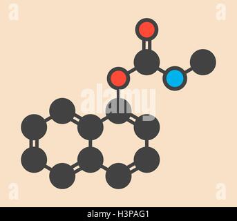 Carbaryl (carbaril) insecticide molecule (carbamate class). Skeletal ...