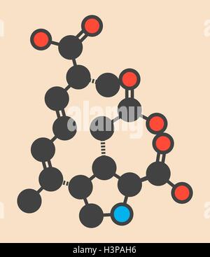 Domoic acid algae poison molecule. Responsible for amnesic shellfish ...