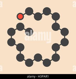 Stearyl alcohol molecule. Constituent of cetostearyl alcohol (cetearyl ...