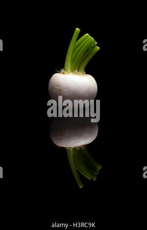 Fresh radish with green leaves on the table in a white ceramic plate ...