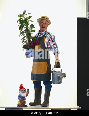Senior gardener watering plant on table at home Stock Photo - Alamy