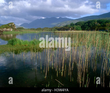 Upper Lake and Macgillycuddy's Reeks, Killarney National Park ...