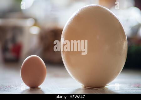 ostrich egg and chicken egg Stock Photo - Alamy
