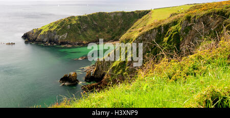 Combe Point and Shinglehill Cove, south Devon (processed as an HDR ...