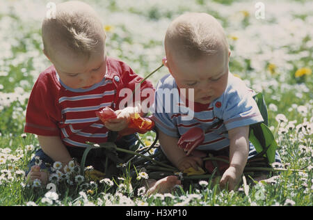 Flower meadow, twins, sit, play tulips, spring, meadow, flowers ...