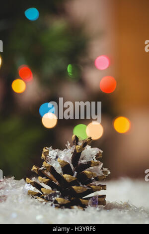 Close up of snow on a pine tree in mid winter in England Stock Photo ...