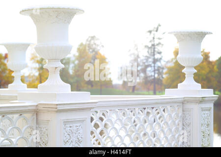 Vases and autumn trees in Tsaritsyn Pavilion, Peterhof, Russia Stock ...